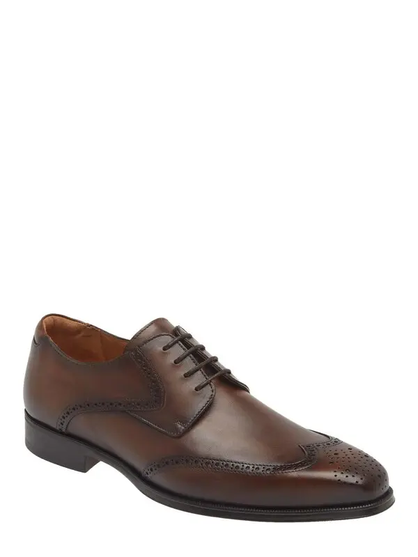 Mezlan Tasso Brogue Derby - Chestnut