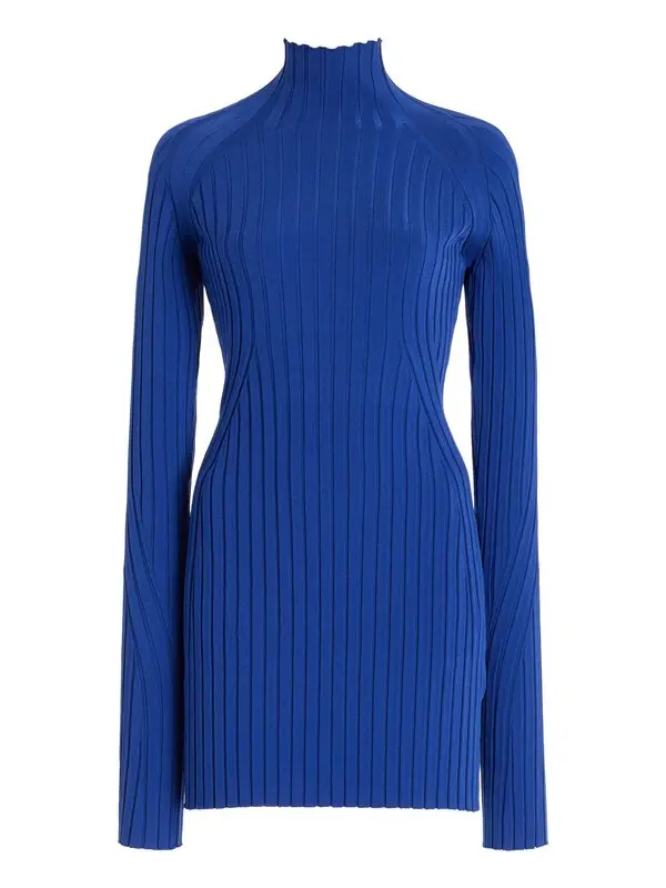 HIGH SPORT Kat Ribbed-knit Turtleneck Top - Blue