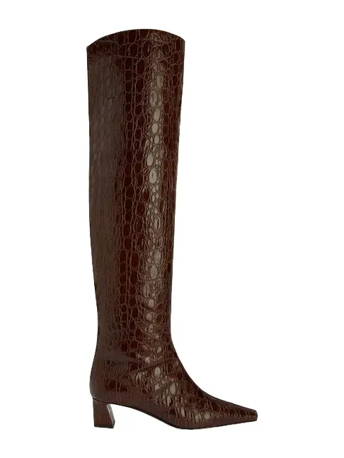 GIUSEPPE ZANOTTI Janiee Plus 45 Over-the-knee Boots - Metallic