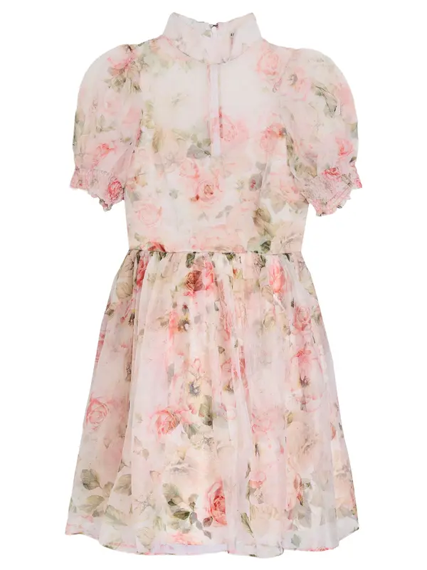 Alice + Olivia Floral-print Silk-organza Mini Dress - Blush