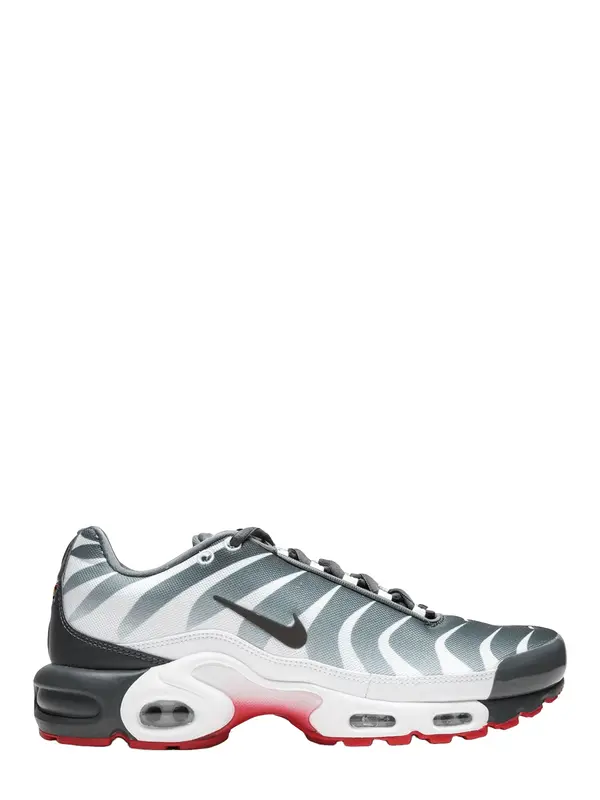 Nike Max Plus Sneakers - Grey