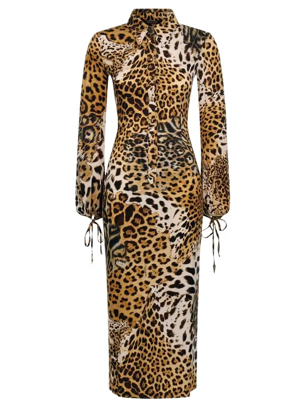Roberto Cavalli Leopard-print Midi Dress - Brown