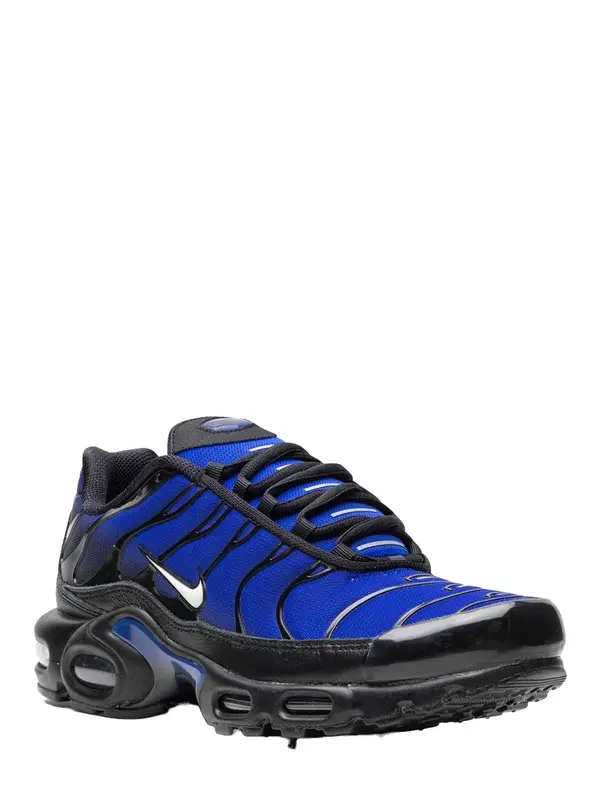 Nike Air Max Plus Sneakers - Blue