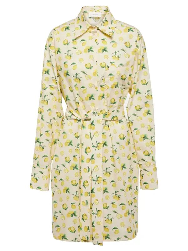Sportmax Boero Printed Cotton Shirt Dress - Multicoloured