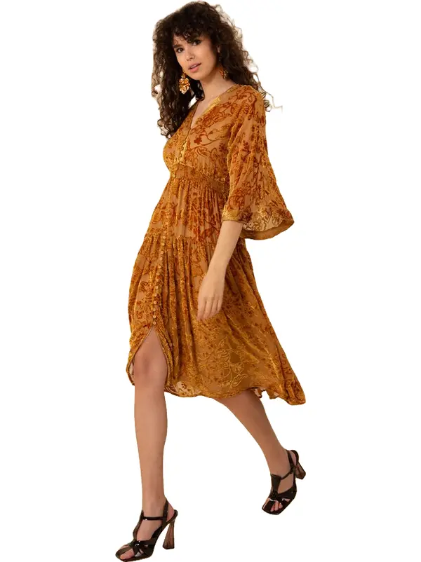 Hale Bob Raven Velvet Burnout Dress - Gold