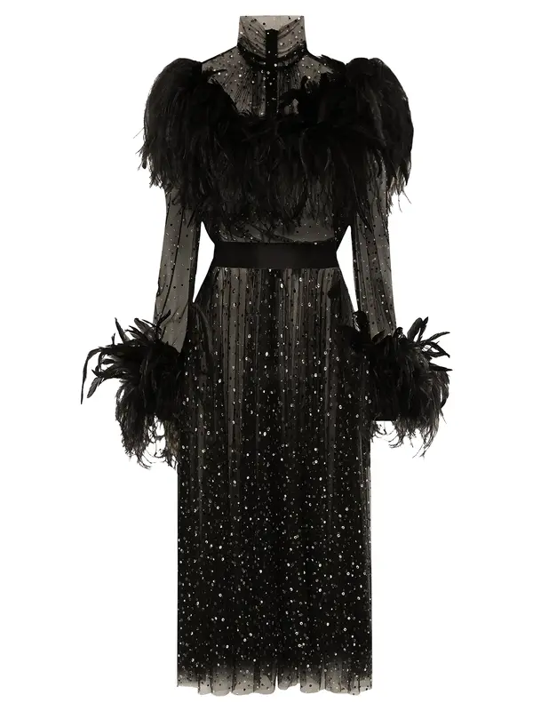 Dolce & Gabbana Calf-length Tulle Dress With Rhinestones And Feather Embellishment - Silver