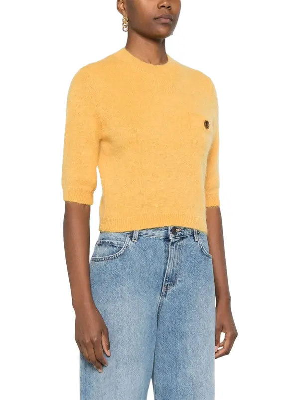 TWINSET Lace-collar Cropped Sweater - Yellow