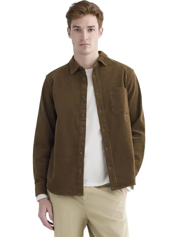 Everlane Classic Shirt, Corduroy Cotton - Cocoa