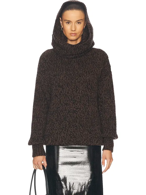 Alexander McQueen Hooded Sweater - Brown & Tan