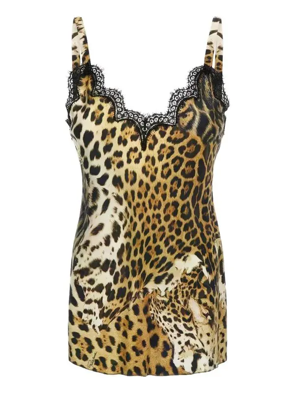 Roberto Cavalli Leopard-print Top - Brown
