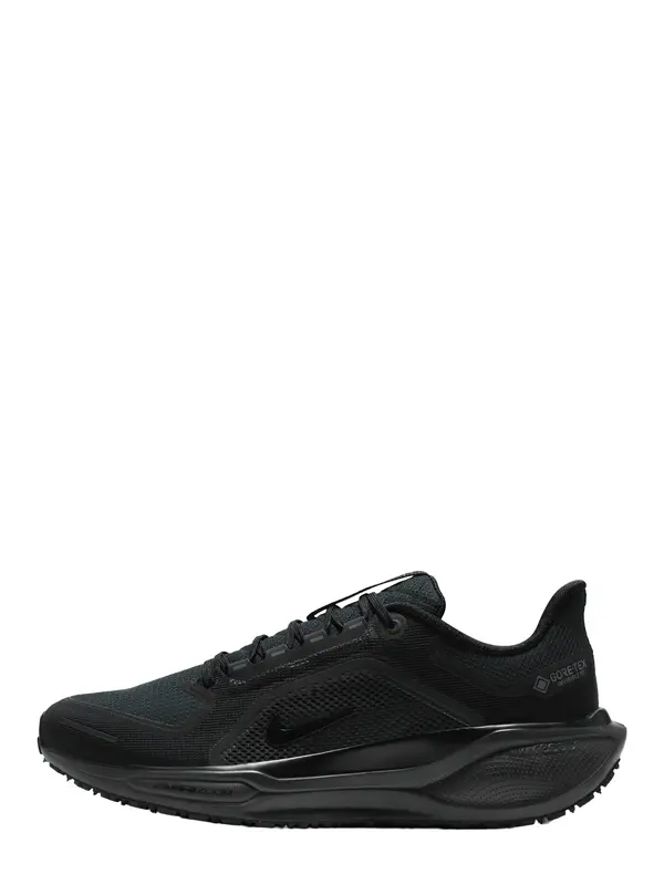 Nike Pegasus 41 Gore-tex Waterproof Road Running Shoes - Black