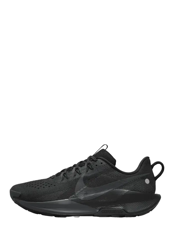 Nike Pegasus Trail Trail Running Shoes - Black
