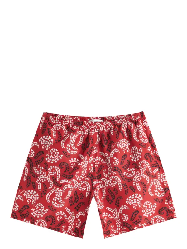 LANVIN Rateau Print Swim Shorts - Carmine Red