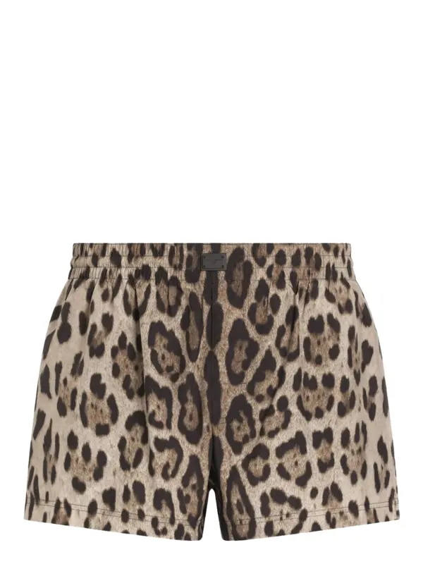 Dolce & Gabbana Leopard-print Swim Shorts - Neutrals