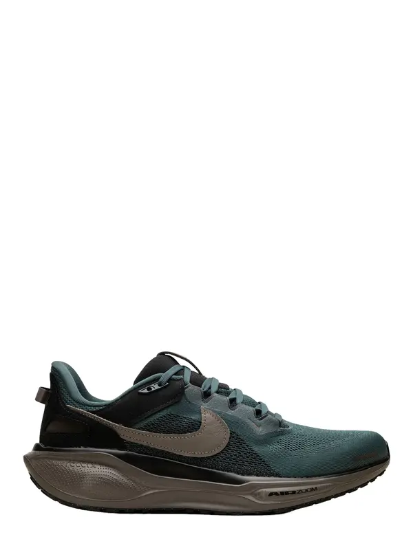 Nike Zoom Pegasus 41 Sp Sneakers - Blue