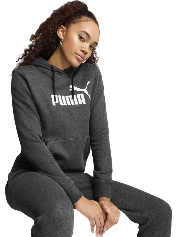PUMA Essentials No. 1 Logo Hoodie - Gray