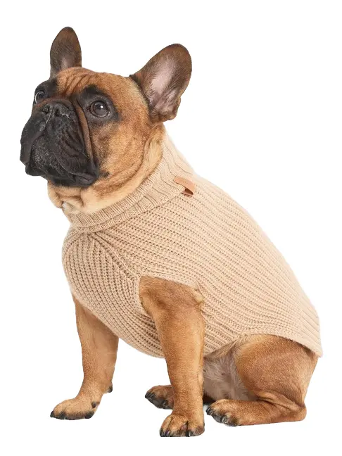 Vince Wool And Cashmere Shaker-stitch Dog Sweater - Brown