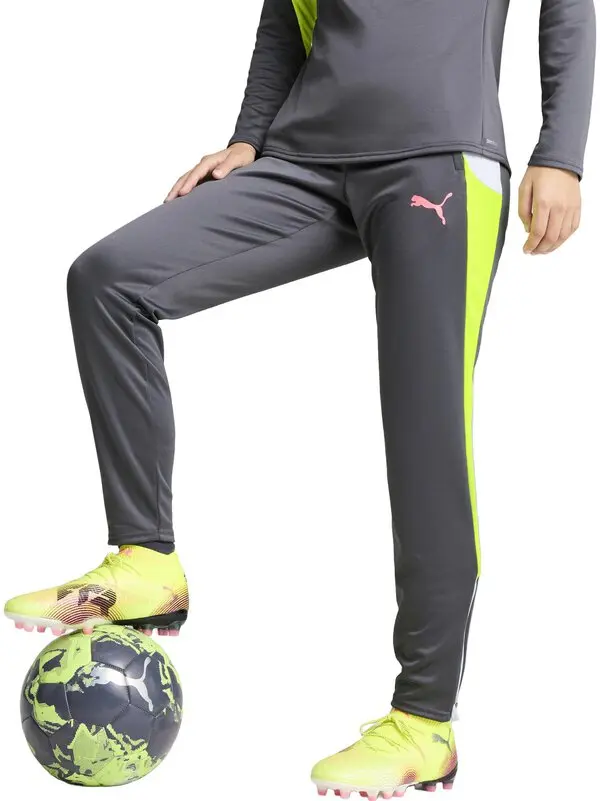 PUMA Individualblaze Soccer Pants - Gray
