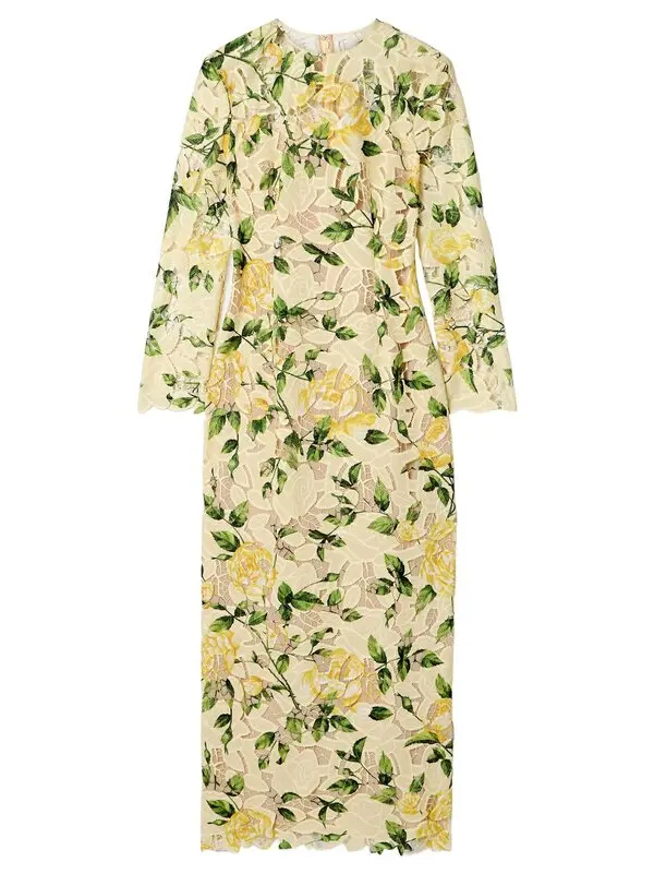 Oscar De La Renta Floral-print Guipure Lace Maxi Dress - Yellow