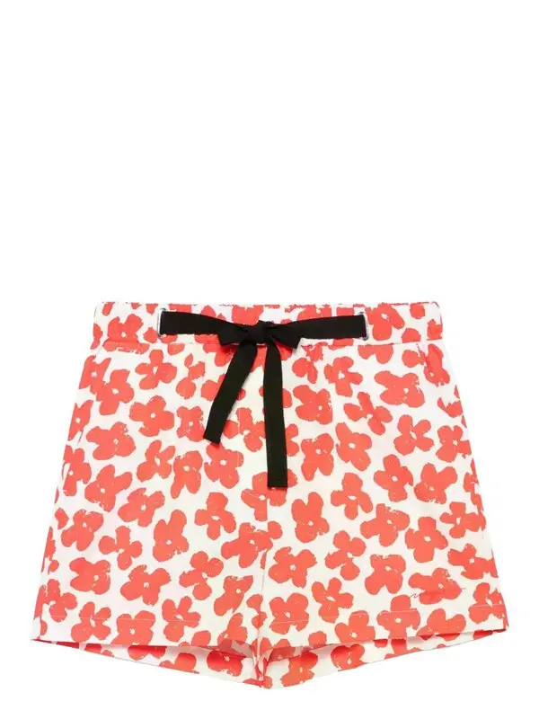 MSGM Floral-print Shorts - Red
