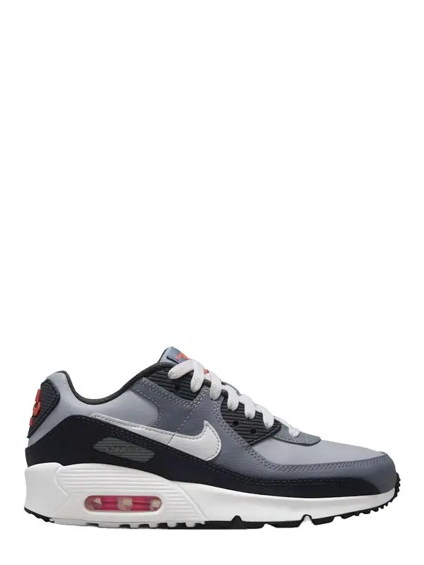 Nike Air Max 90 Sneakers - Wolf Grey/cool Grey/anthracite