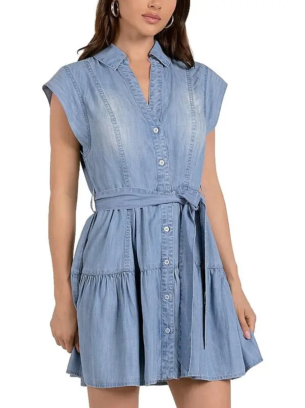 Elan Chambray Collared Button Front Mini Dress - Blue