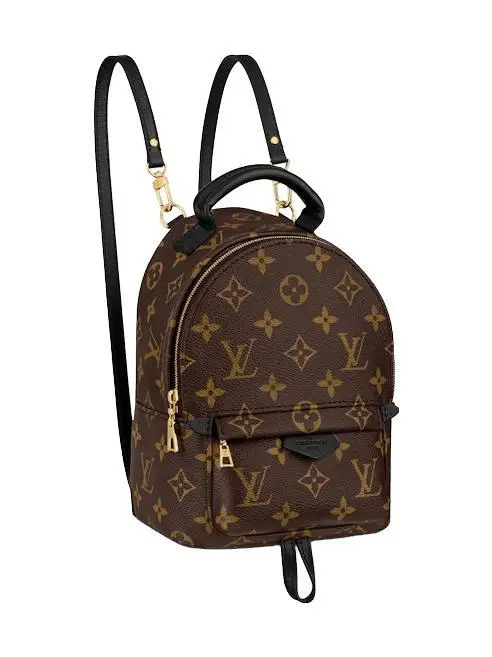 LOUIS VUITTON Palm Springs Mini Backpack - Brown
