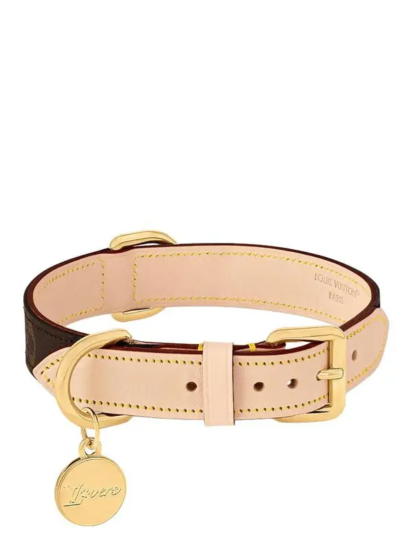 LOUIS VUITTON Dog Collar Pm - Monogram