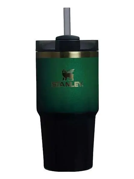 STANLEY X Target X Wicked Flowstate Quencher 20oz Tumbler - Elphaba