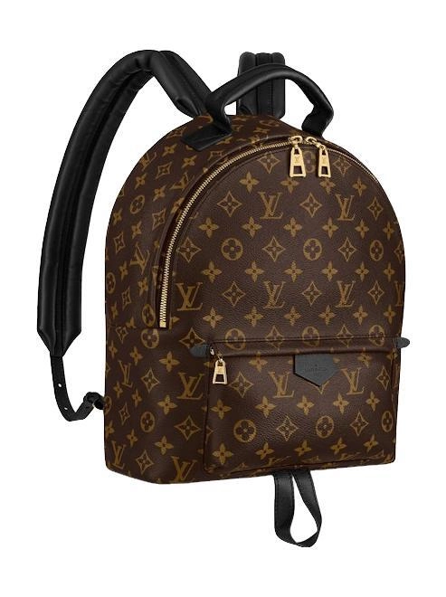 LOUIS VUITTON Palm Springs Monogram Backpack - Brown