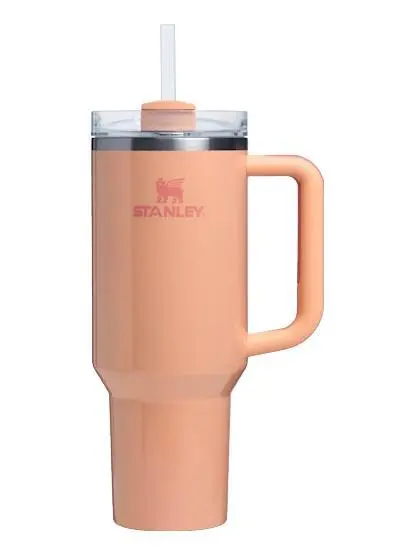 STANLEY X Whole Foods Flowstate Quencher 40oz Tumbler - Bellini Shimmer