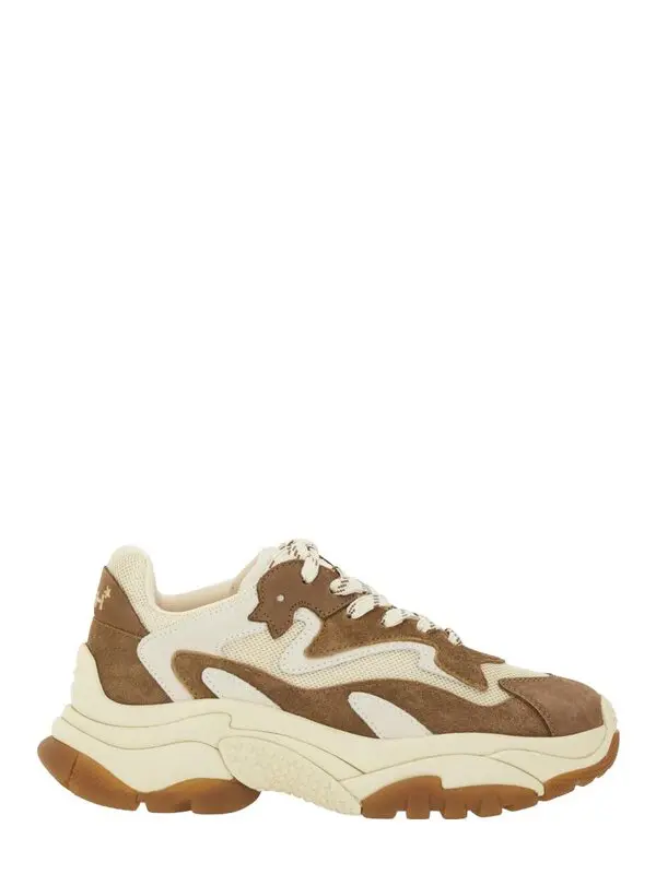 Ash Addict Sneakers - Beige