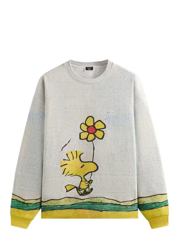 Kith For Peanuts Woodstock Comic Nelson Crewneck - Grey