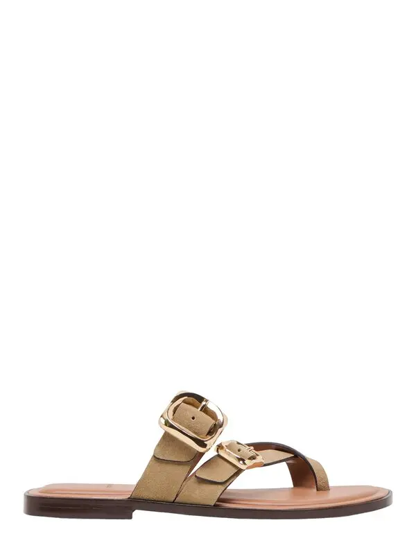 DOLCEVITA Shore Buckled Sandals - Taupe Suede