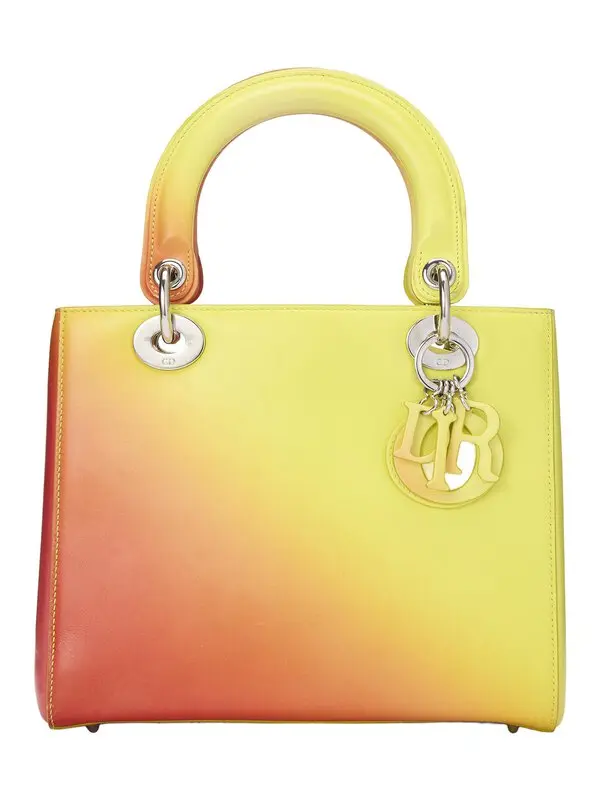 Dior Lady Ombré Calfskin Handheld - Multi