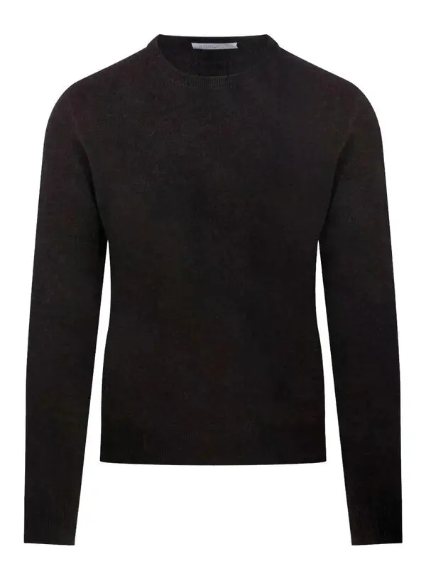 CASHMERE COMPANY Crew-neck Long Sleeve Sweater - Brown