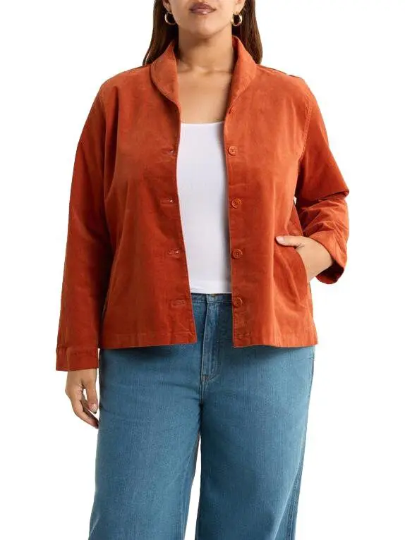 SEASALT CORNWALL Brightwork Corduroy Jacket - Terracotta