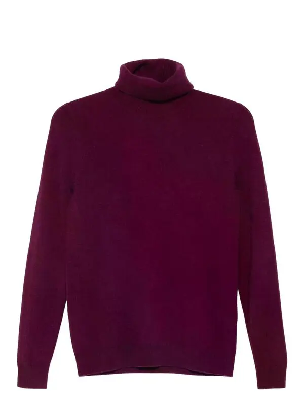 Eric Bompard Roll-neck Cashmere Sweater - Purple