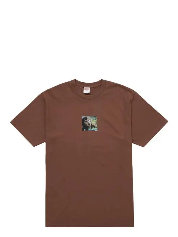 Supreme The Exorcist Puke Tee Shirt - Brown