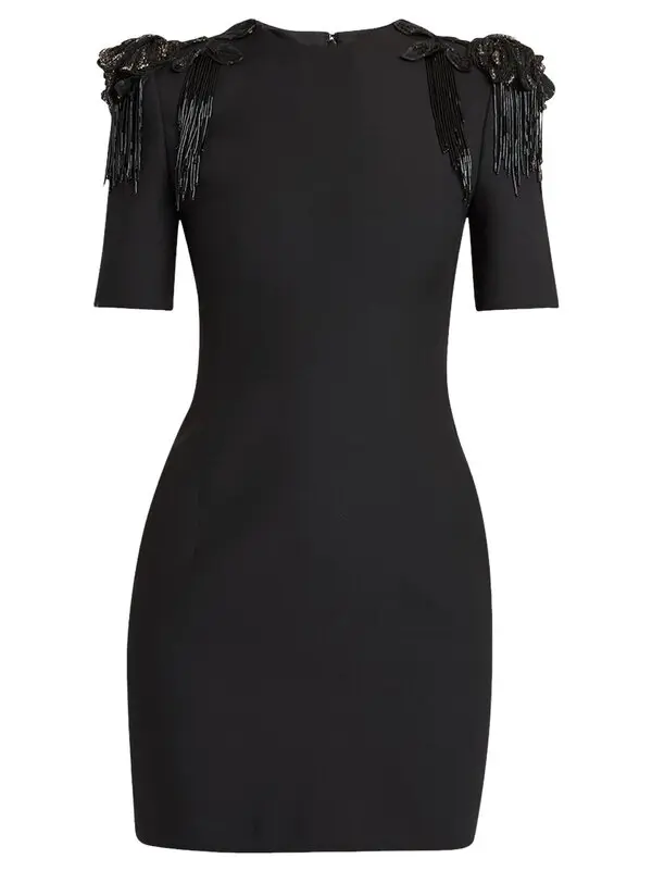 Valentino Garavani Embroidered Mini Dress - Black