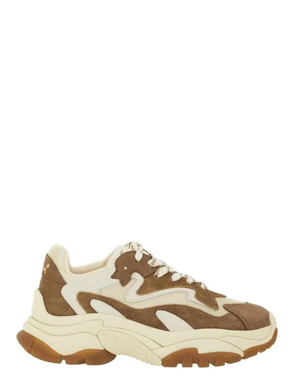 Ash Addict Sneakers - Beige