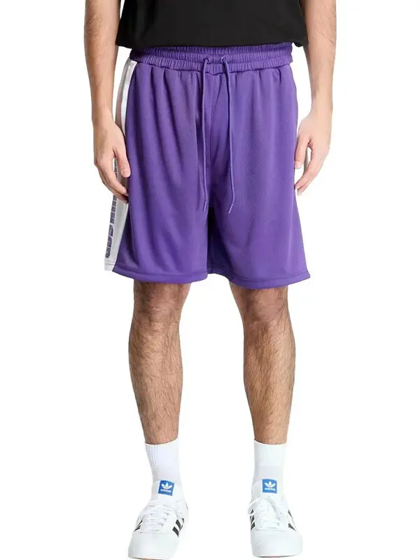 New Era La Lakers Nba Graphic Mesh Shorts - Purple