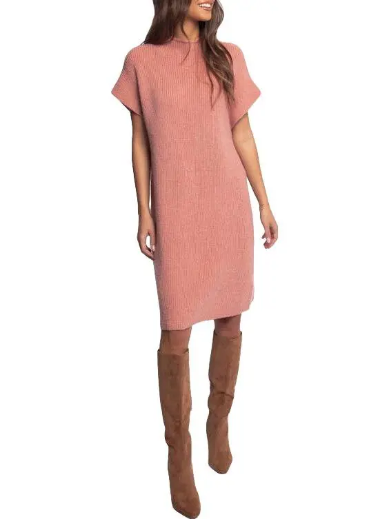 PETAL & PUP Wright Mock Neck Sweater Dress - Pink