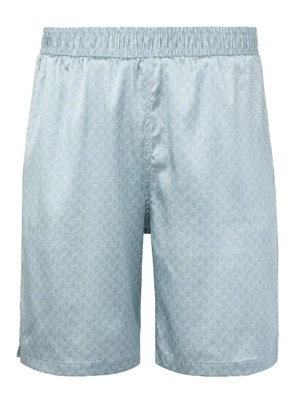 Frescobol Carioca Palma Printed Silk-blend Shorts - Blue