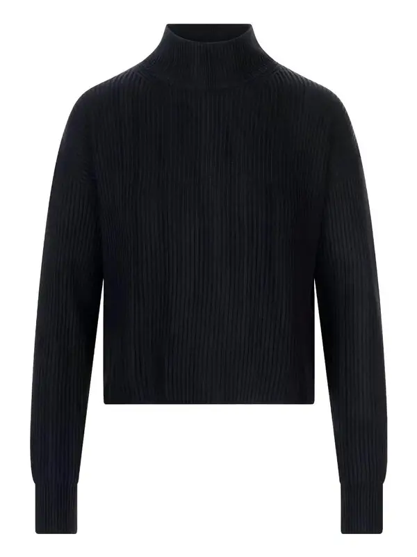 Max Mara Fufy Ribbed Roll-neck Sweater - Blue