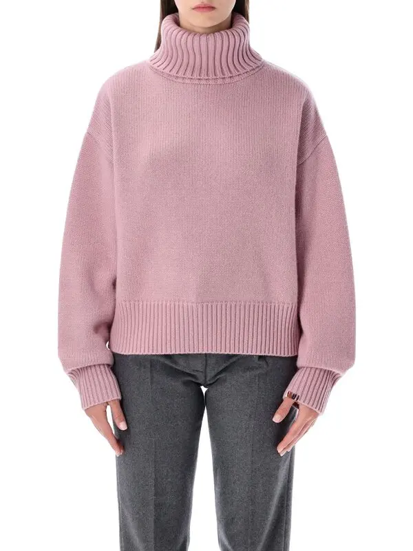 EXTREME CASHMERE X N°434 Crop Xtra Cashmere Turtleneck Sweater - Pink