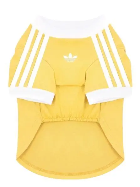 Adidas Pet Cali Tee Shirt - Sunlight Yellow/jade White