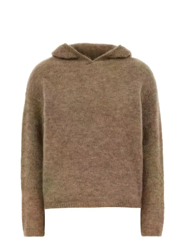 Max Mara Long-sleeve Hoodie - Brown