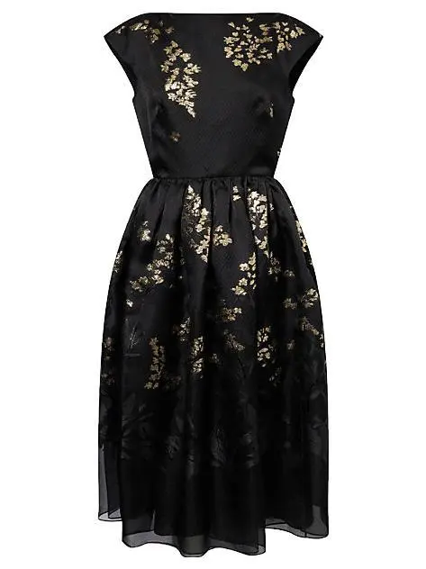 Erdem Fil Coupé-floral Cap-sleeve Organza Midi Dress - Black
