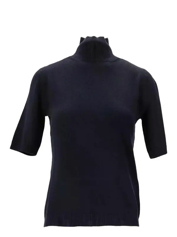 Max Mara Short-sleeve Turtleneck Top - Blue